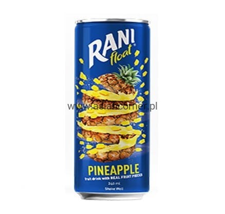 Rani Pineapple Juice 240ml | Asian Corner